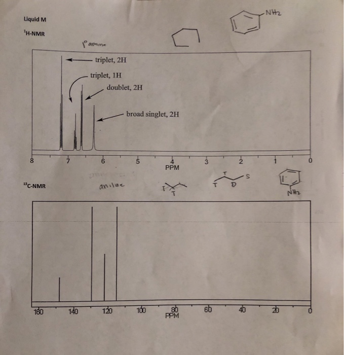 Solved -NH2 Liquid M H-NMR Parmine - triplet, 2H - triplet, | Chegg.com