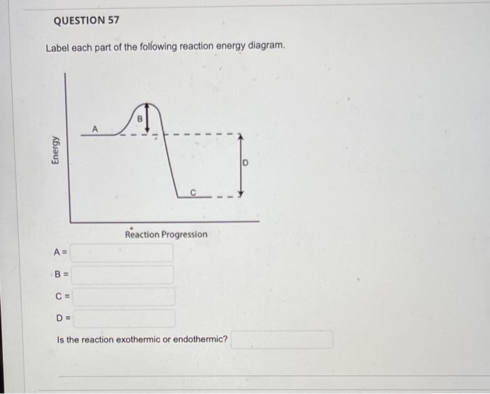 Solved Label each part of the following reaction energy | Chegg.com