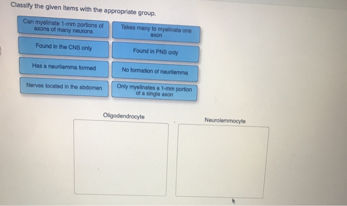 Solved Classify the given items with the appropriate group. | Chegg.com