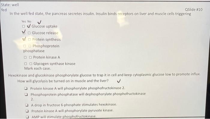 Solved State: Well Fed StateThere are 2 questions here | Chegg.com