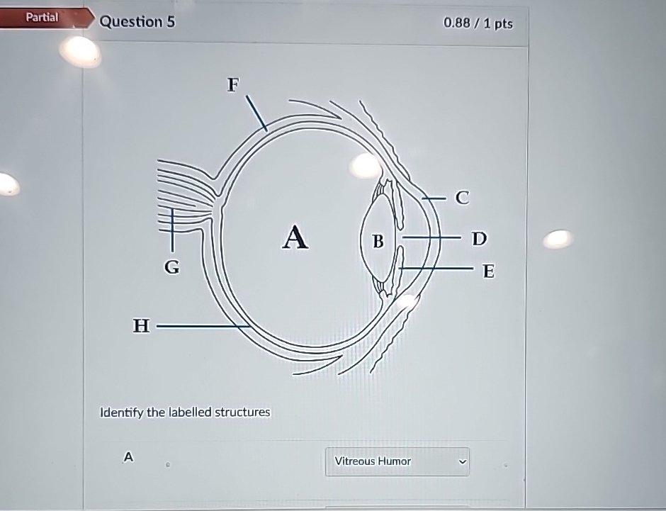 Solved Partial longrightarrow Question 50.881ptsIdentify the | Chegg.com