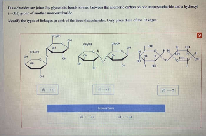 Solved Disaccharides are joined by glycosidic bonds formed | Chegg.com