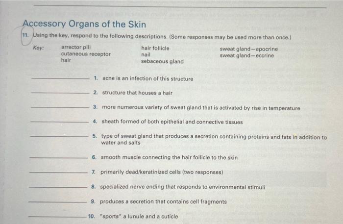 Solved Accessory Organs of the Skin 11. Using the key, | Chegg.com