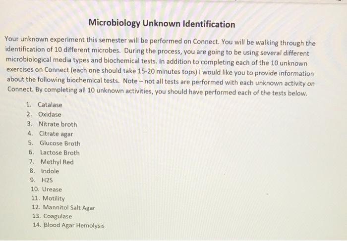 Solved Microbiology Unknown Identification Your unknown | Chegg.com