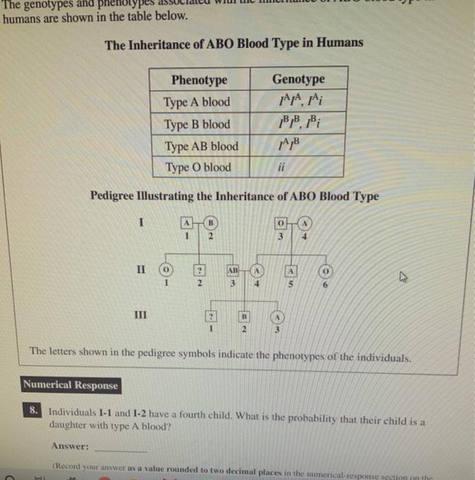 Solved The genotypes and phenotypes humans are shown in the | Chegg.com