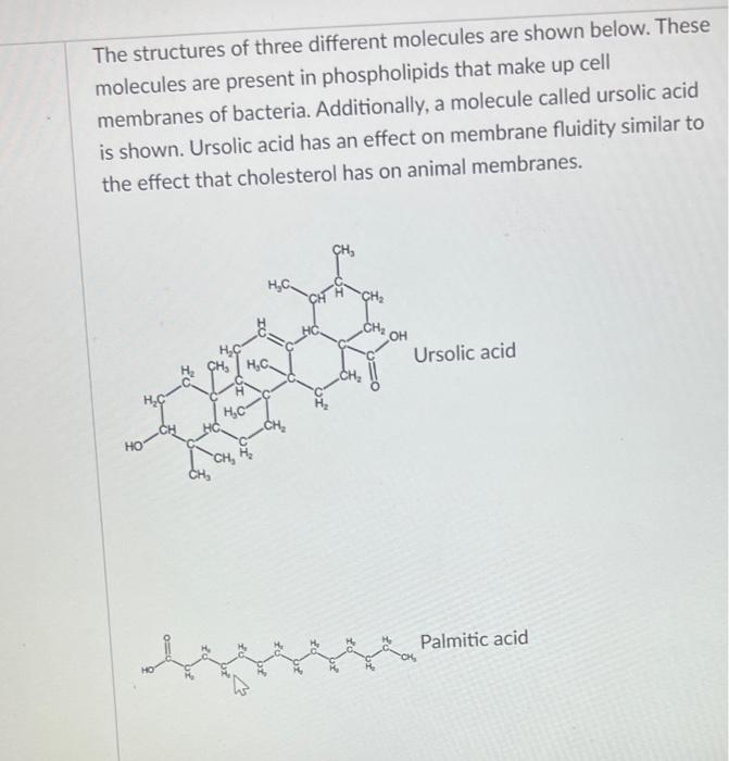 Solved The structures of three different molecules are shown | Chegg.com