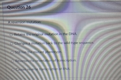 Solved Question 26A reversion mutation:Retains the original | Chegg.com