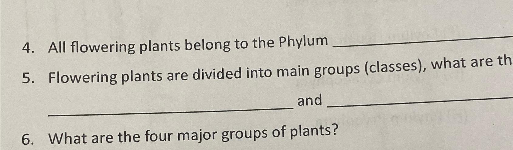 Solved All flowering plants belong to the PhylumFlowering | Chegg.com