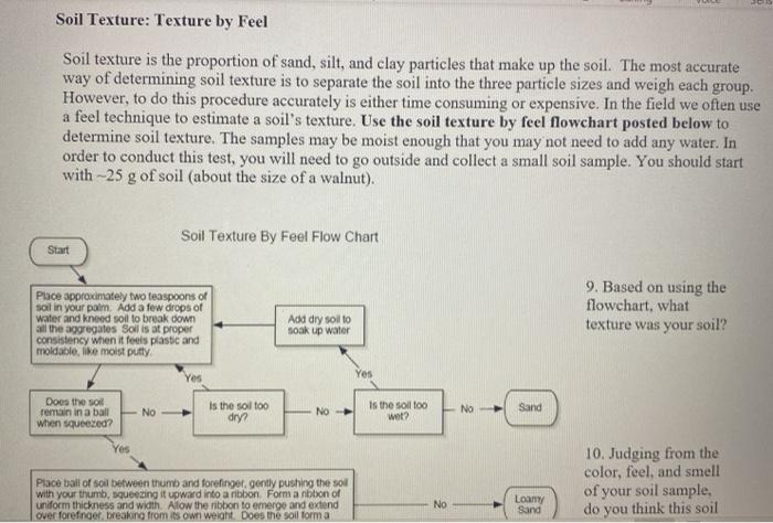 Solved Soil Texture: Texture by Feel Soil texture is the | Chegg.com