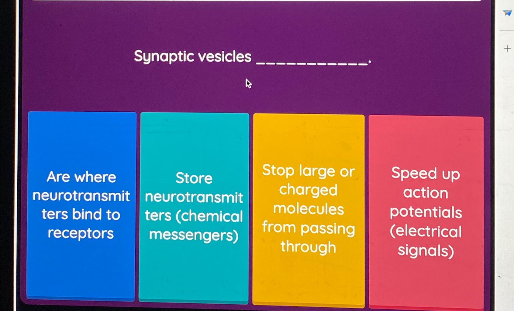 Solved Synaptic vesiclesAre where neurotransmit ters bind to | Chegg.com