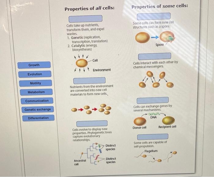 Solved Correctly label properties that are found in all | Chegg.com