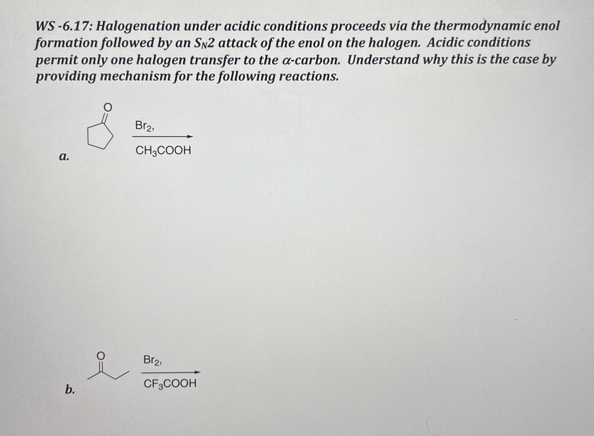 Solved WS -6.17: Halogenation under acidic conditions | Chegg.com