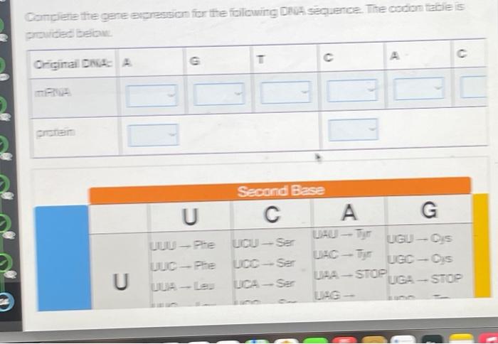 Solved Compleathe gene expression for the following DHA | Chegg.com