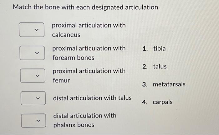 Solved Match each item with the appropriate description. | Chegg.com