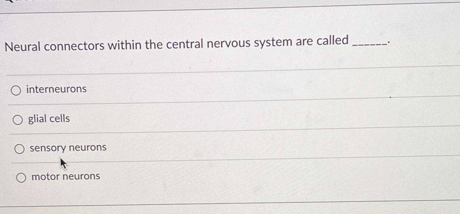 Solved Neural connectors within the central nervous system | Chegg.com