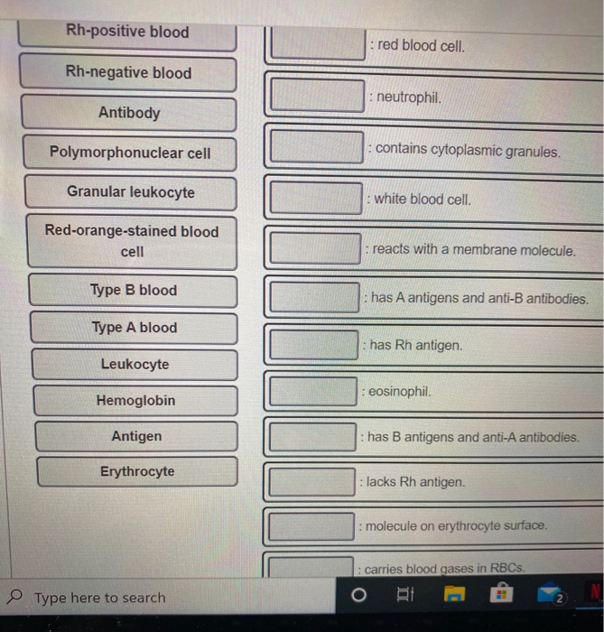 Solved Rh-positive blood : red blood cell. Rh-negative blood | Chegg.com