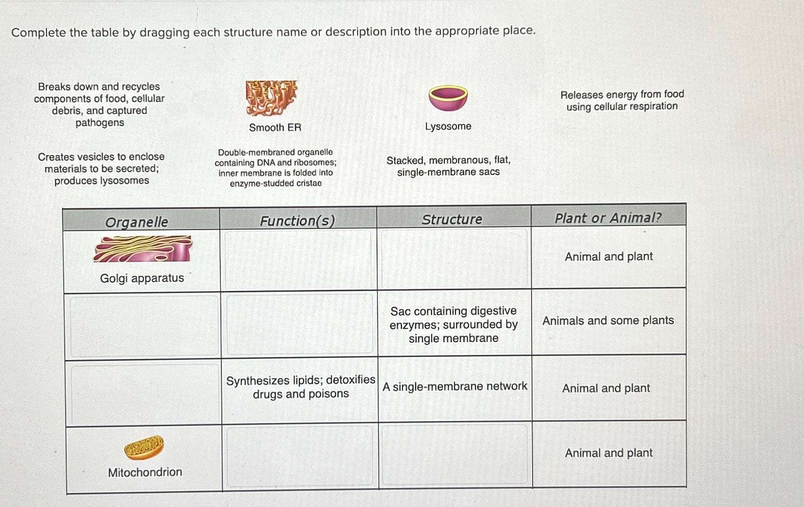 Solved Complete the table by dragging each structure name or | Chegg.com