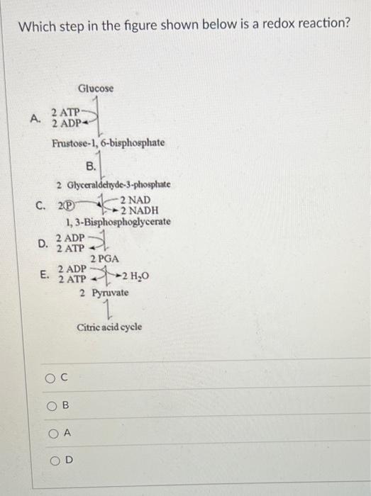 Solved Which step in the figure shown below is a redox | Chegg.com