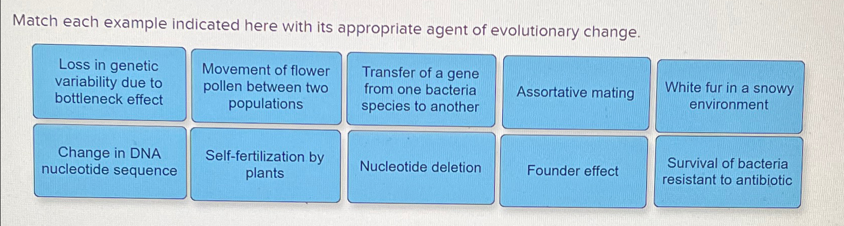 Solved Match each example indicated here with its | Chegg.com