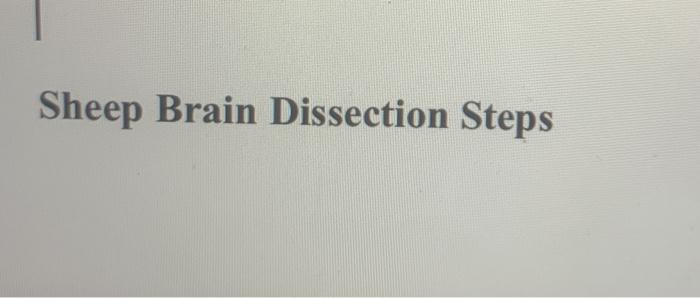 Solved Sheep Brain Dissection Steps | Chegg.com
