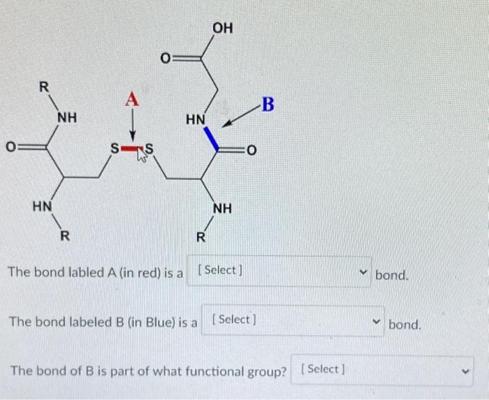 Solved The bond labled A (in red) is a bond. The bond | Chegg.com