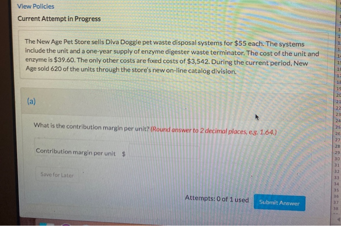 Solved View Policies Current Attempt in Progress The New Age | Chegg.com