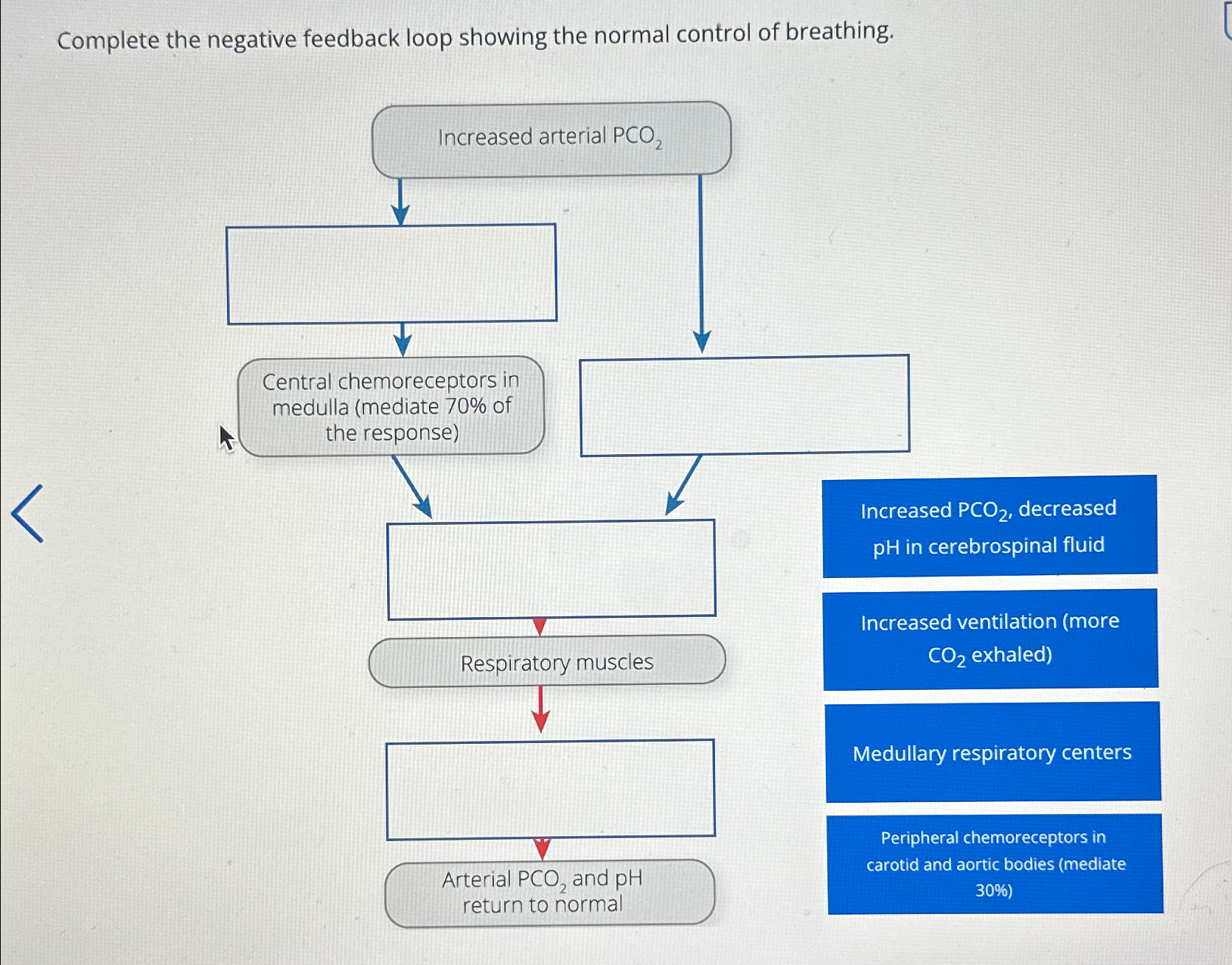 Solved Complete the negative feedback loop showing the | Chegg.com
