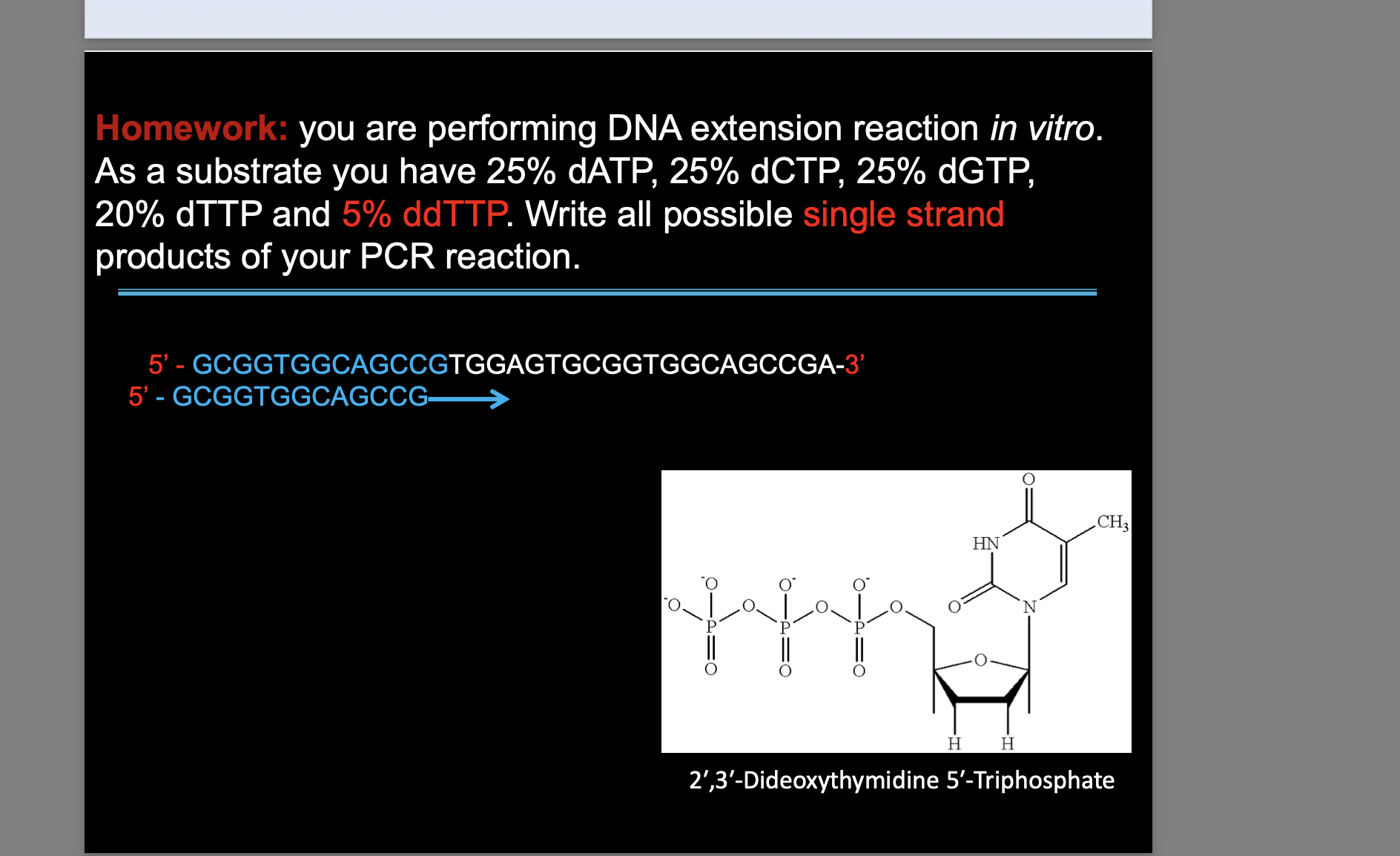 Homework: you are performing DNA extension reaction | Chegg.com