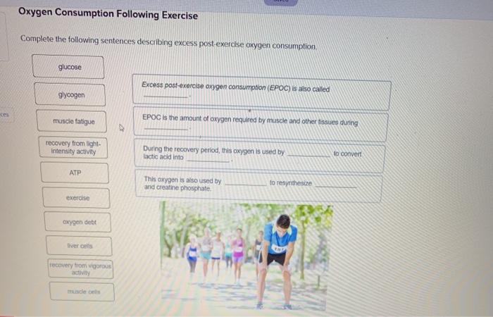 Solved Oxygen Consumption Following Exercise Complete the | Chegg.com