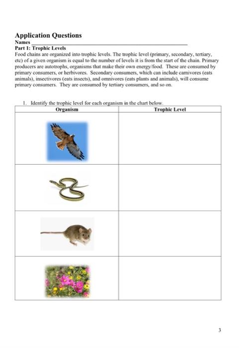 Solved Application Questions Names Part 1: Trophic Levels | Chegg.com