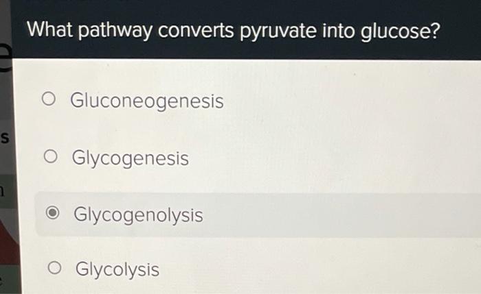 Solved What pathway converts pyruvate into glucose? | Chegg.com