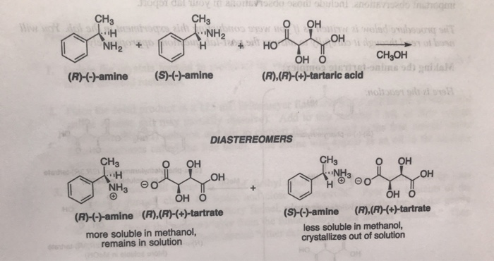 1. In the resolution of racemic 1-phenylethylamine | Chegg.com