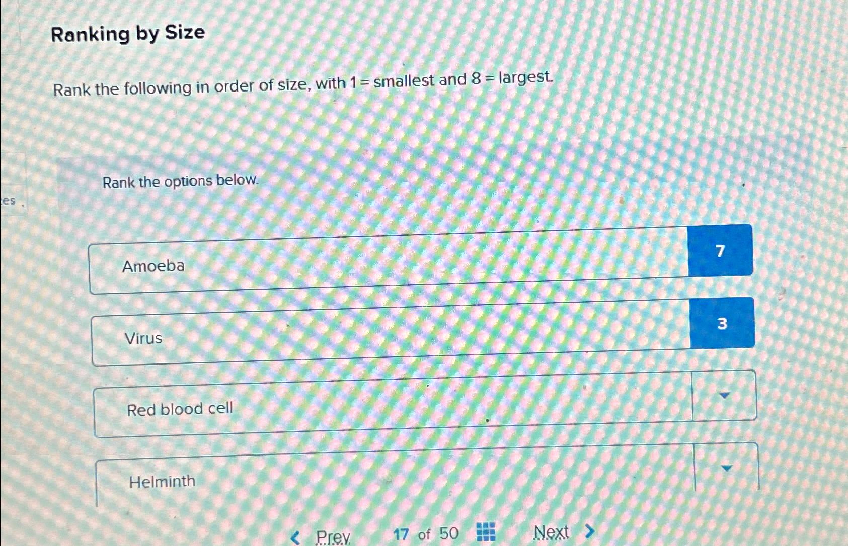 Solved Ranking by SizeRank the following in order of size, | Chegg.com