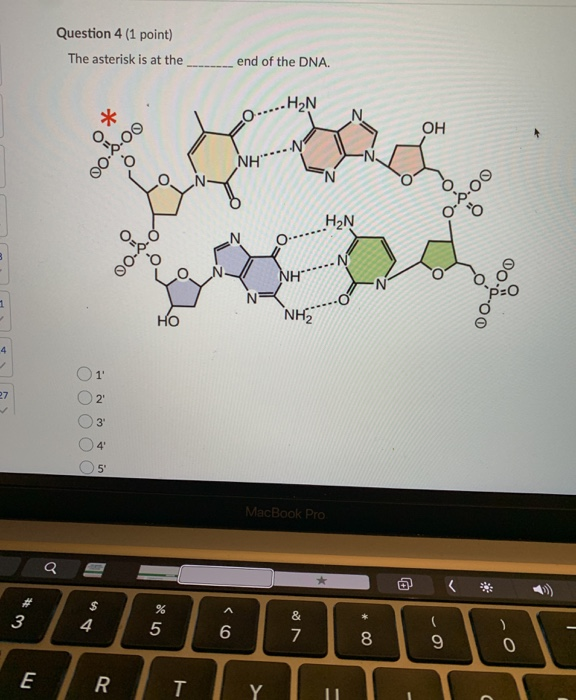Solved is a technology that changes how the primary RNA | Chegg.com