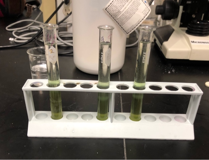 o spectrophe son och 1. After cooling the tubes in | Chegg.com