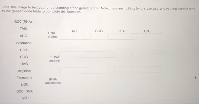 Solved Label this image to test your understanding of the | Chegg.com