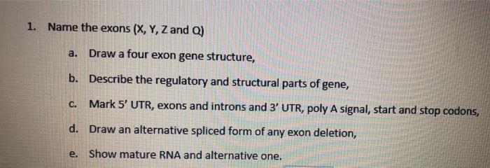 Solved 1. Name the exons (X, Y, Z and 0) a. Draw a four exon | Chegg.com
