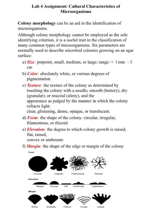 Solved Microorganisms Colony Morphology Can Be An Aid In The