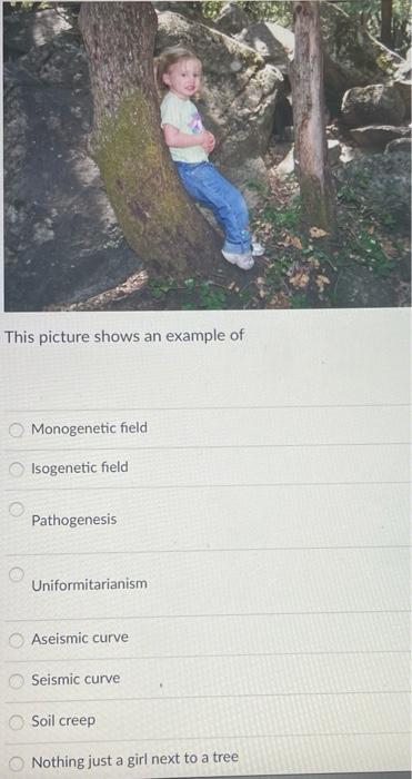 Solved This picture shows an example of Monogenetic field | Chegg.com