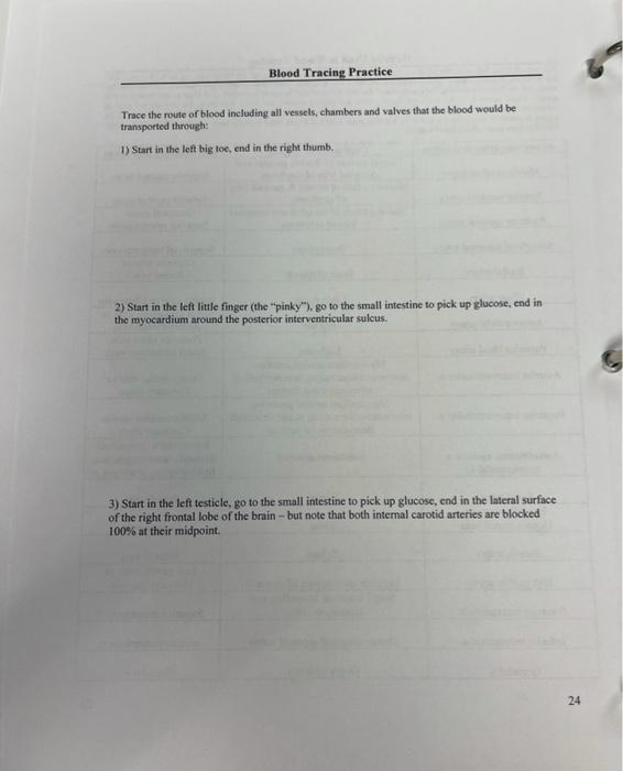 Solved Blood Tracing Practice Trace the route of blood | Chegg.com