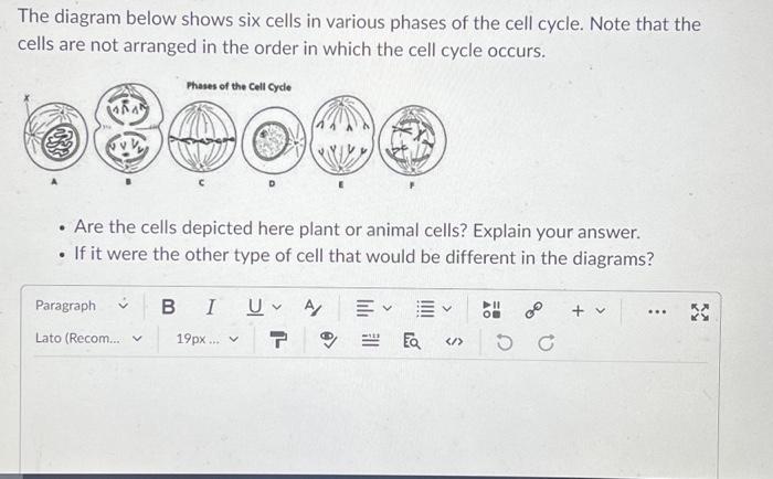 Solved The diagram below shows six cells in various phases | Chegg.com