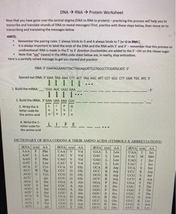 Solved DNA → RNA → Protein Worksheet Now that you have gone | Chegg.com