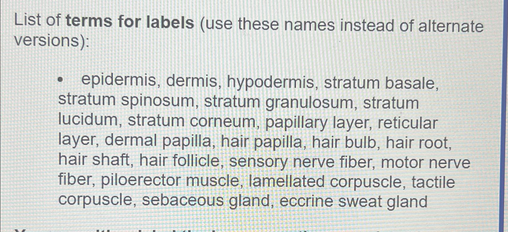Solved List of terms for labels (use these names instead of | Chegg.com
