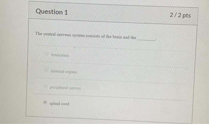Solved: Question 1 2/2 Pts The Central Nervous System Cons... | Chegg.com