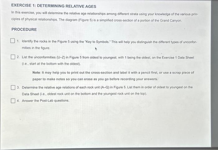 Solved (youngest) (oldest)EXERCISE 1: DETERMINING RELATIVE | Chegg.com