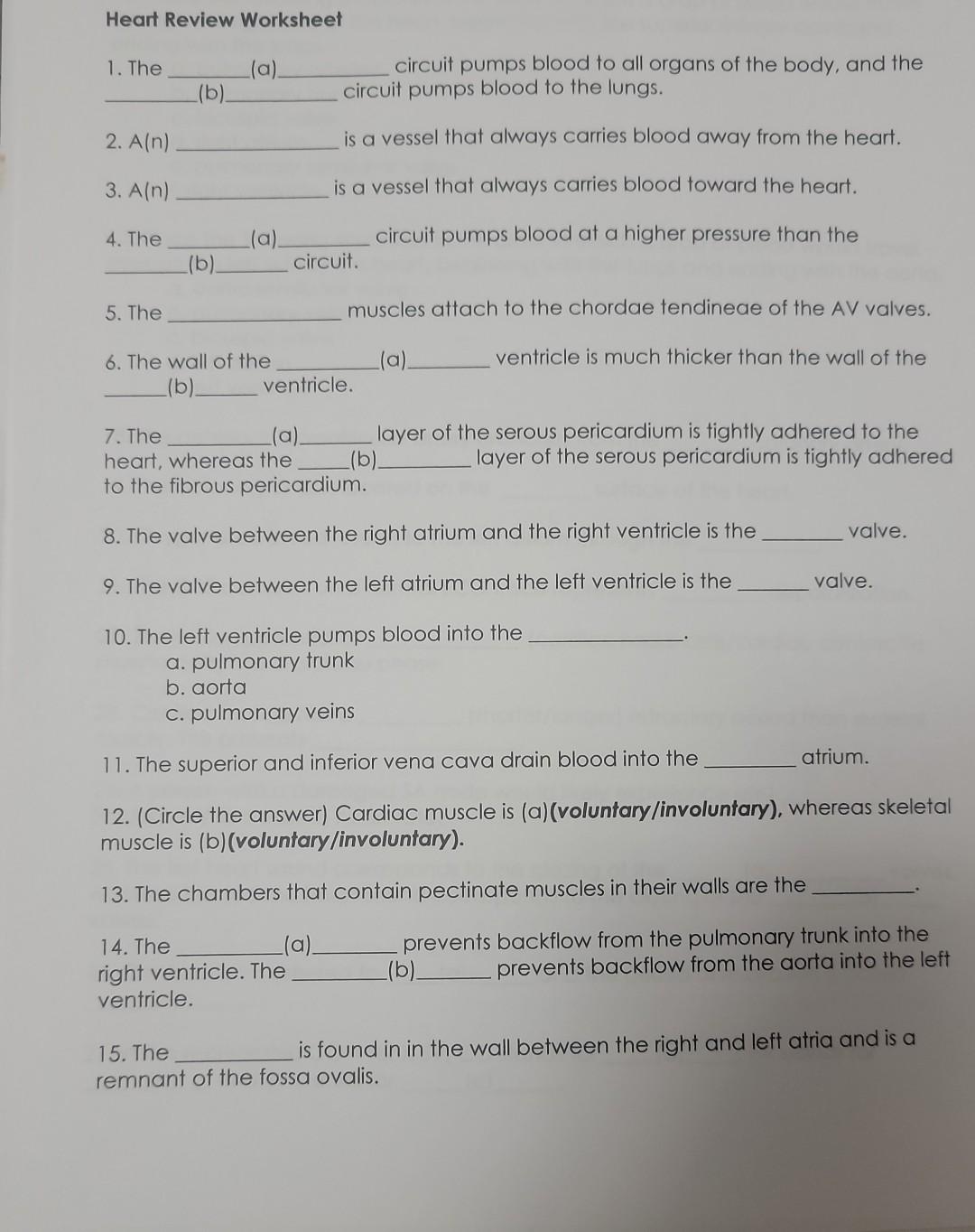 Heart Review Worksheet 1. The (a) circuit pumps blood | Chegg.com