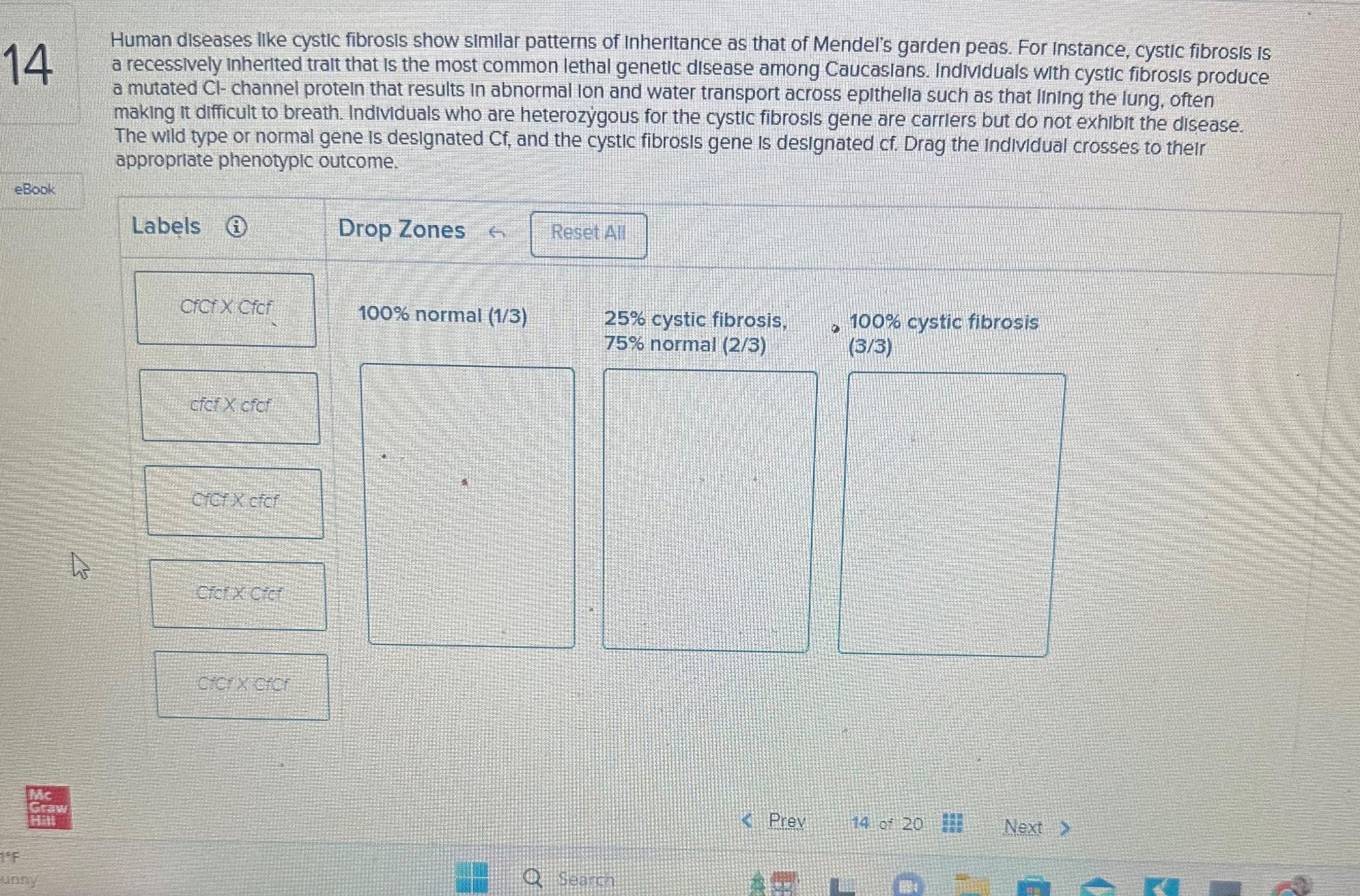 Solved 14Human diseases Ilke cystic fibrosis show similar | Chegg.com