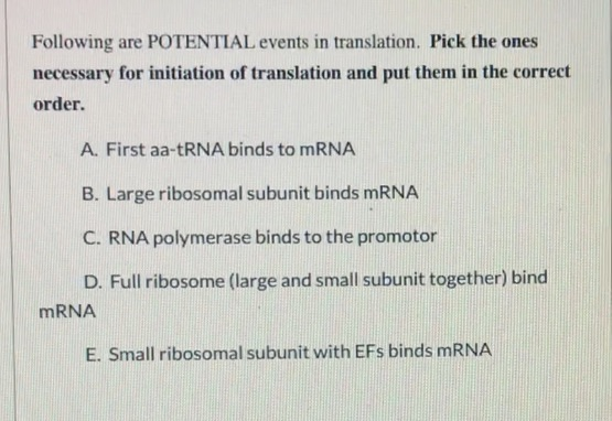 Solved A DNA strand with the non-coding (antisense) sequence | Chegg.com