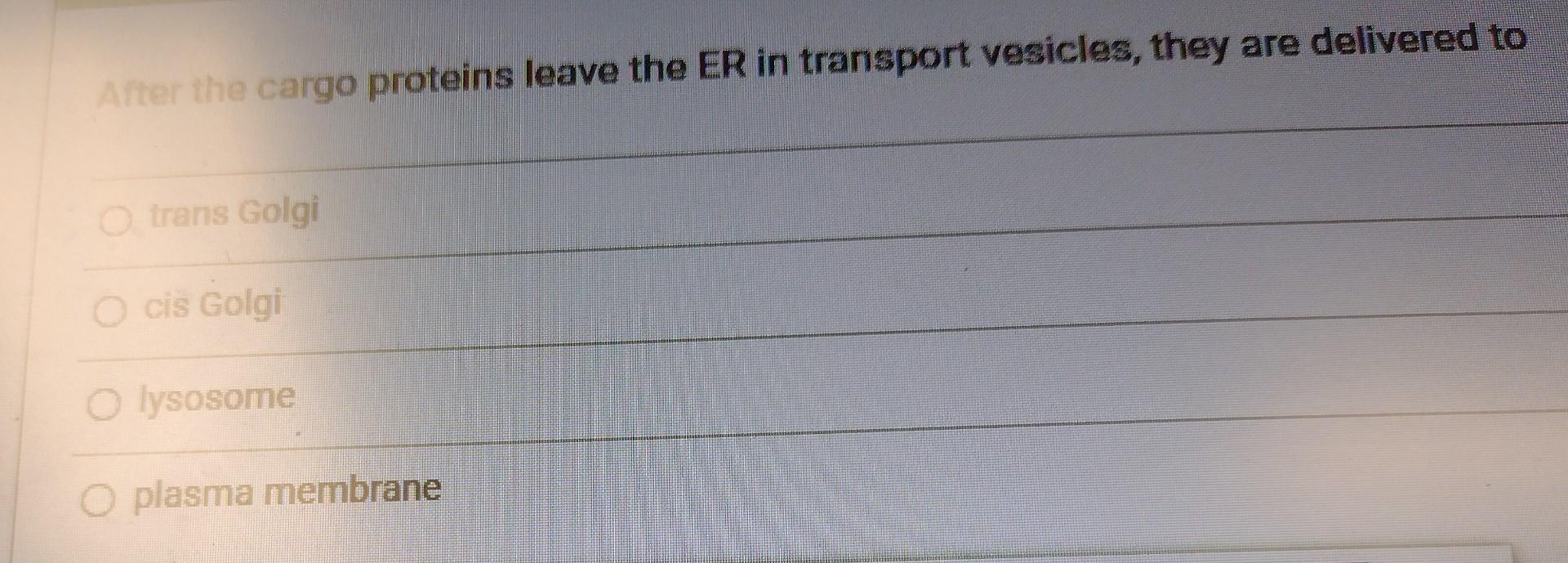 Solved Afterthe cargo proteins leave the ER in transport | Chegg.com