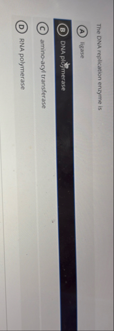 Solved The DNA replication enzyme isligaseDNA | Chegg.com